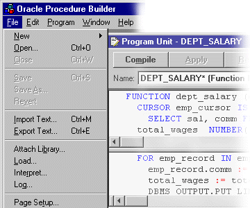 Developing a Program Unit