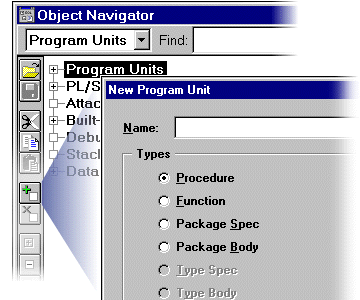 Developing a Program Unit