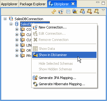 Working with Databases in Workshop Studio: Step 2: Display Database ...