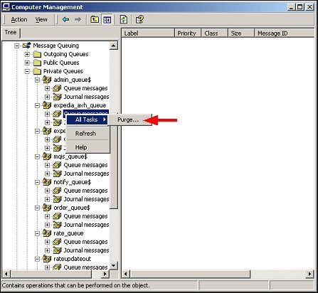 Microsoft Message Queuing Services (MSMQs)