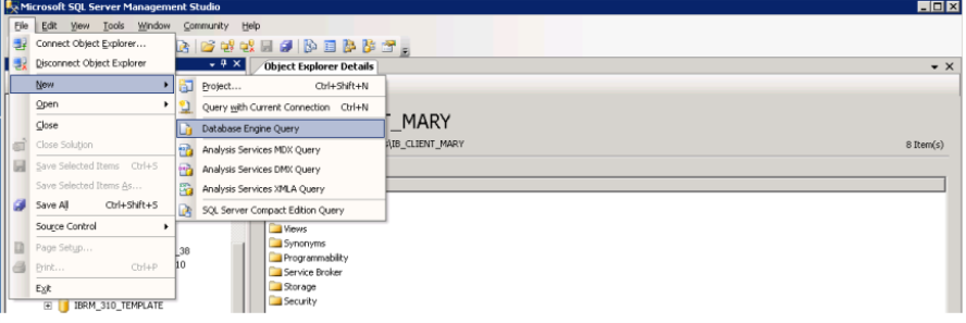 Manual Updates to Insbridge Databases