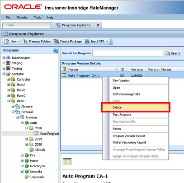 Removing a Program Version