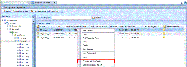 Program Version Report
