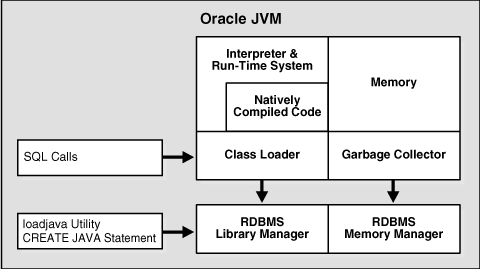 サーバー側プログラミング: PL/SQL、JavaおよびJavaScript