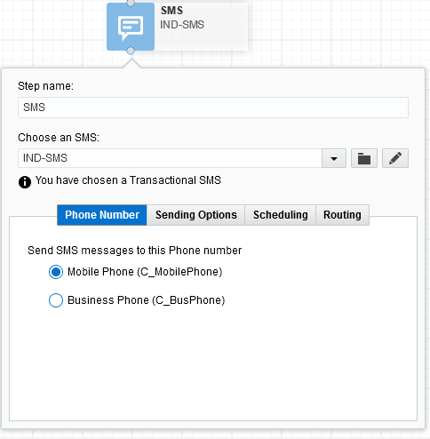 Configuring campaign canvas elements: Assets