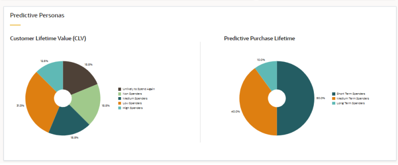 Navigating the Predictive CLV dashboard