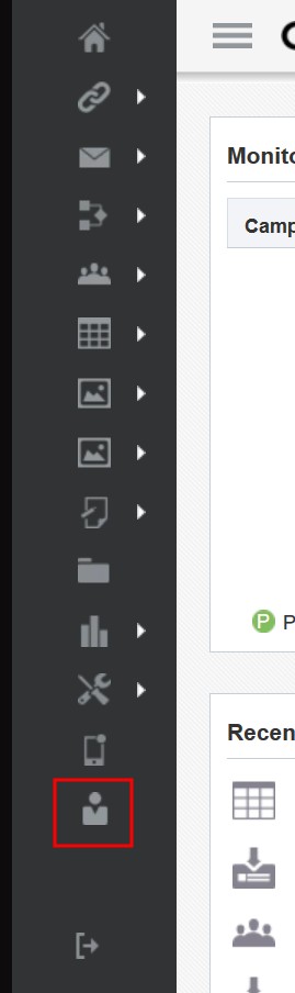 Creating API users in Responsys