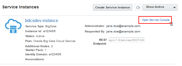 Creating an Oracle Big Data Cloud Service Instance and Cluster