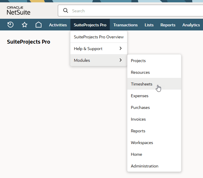 NetSuite Applications Suite - NetSuite Integration Main Features
