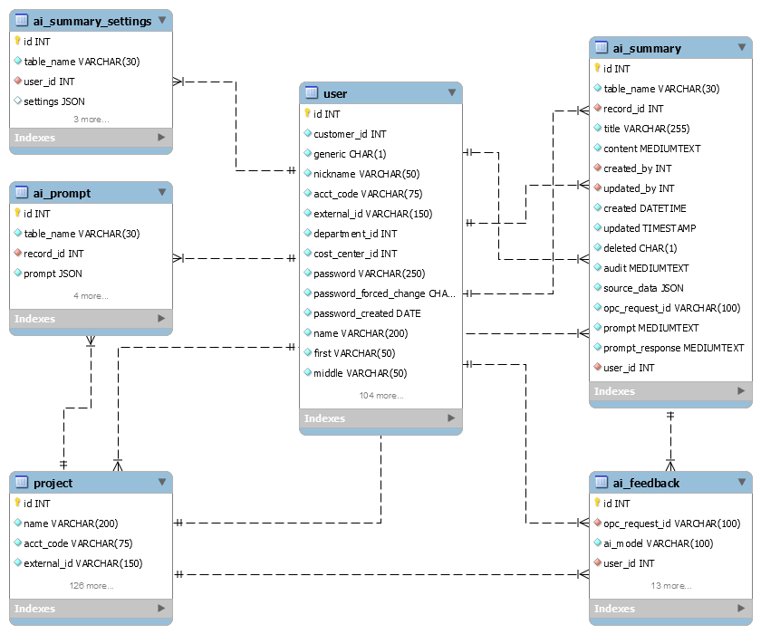 NetSuite Applications Suite - Project Summary
