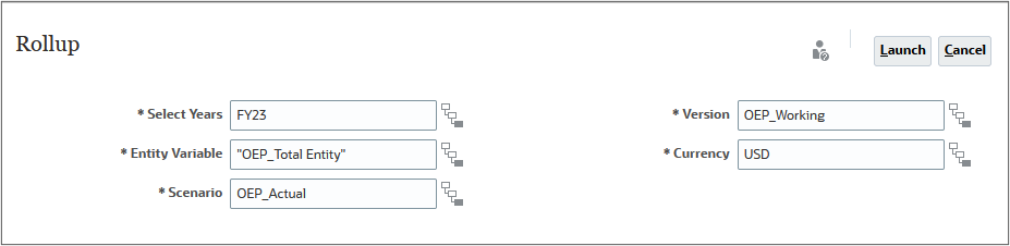 Calculating Actuals and Preparing Plans and Forecasts in Financials