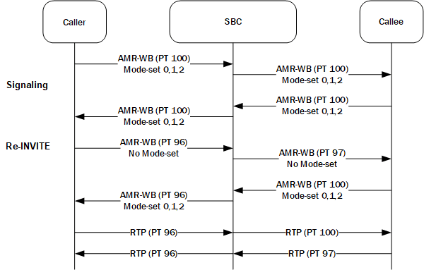Asymmetric Dynamic Payload Types Enablement