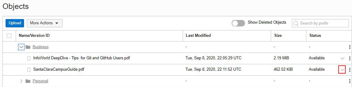Using Object Versioning