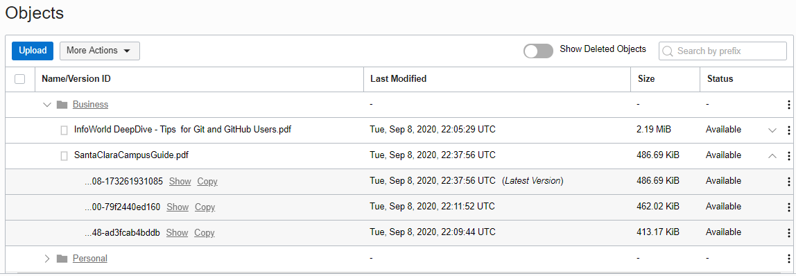 Using Object Versioning