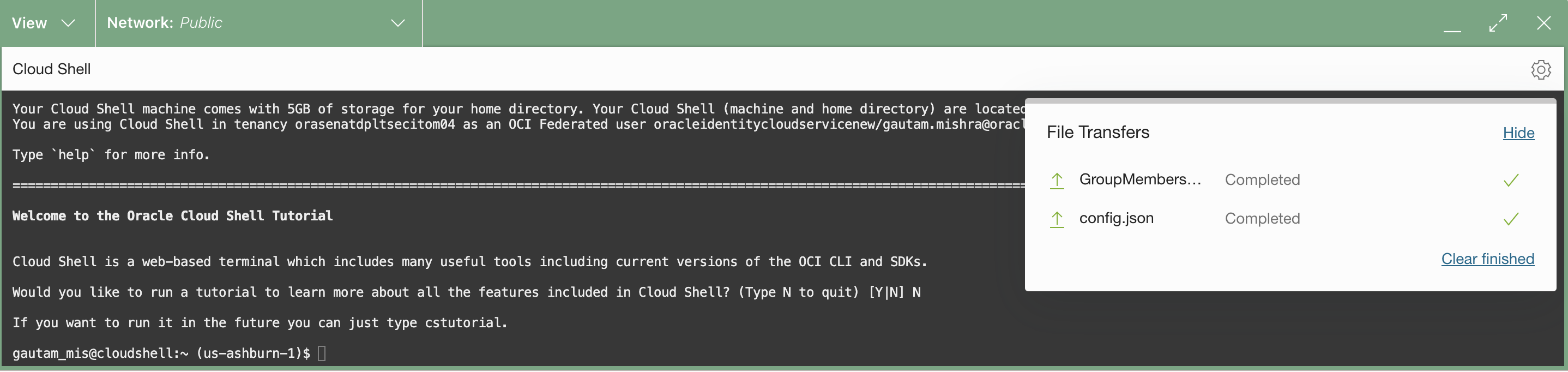 使用 Python 從 OCI IAM 識別網域產生使用者群組成員報表