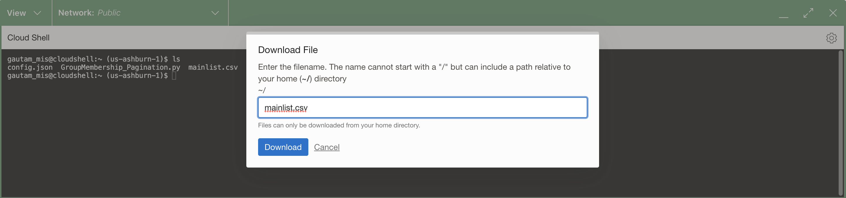 使用 Python 從 OCI IAM 識別網域產生使用者群組成員報表
