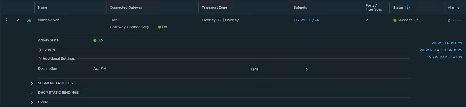 從 Oracle Cloud VMware Solution NSX-T Overlay Segment 啟用公用 URL 的 DNS 解析