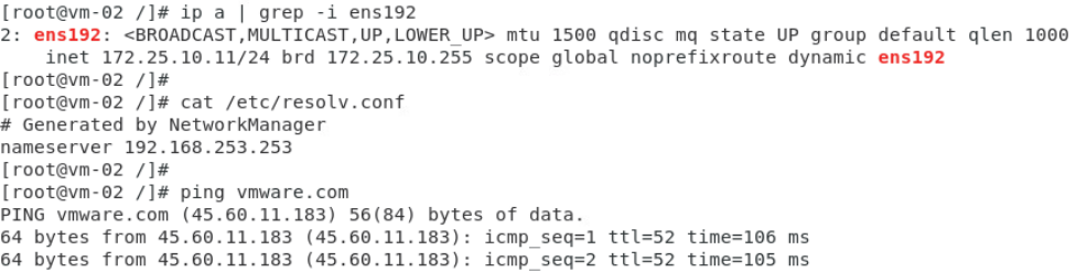從 Oracle Cloud VMware Solution NSX-T Overlay Segment 啟用公用 URL 的 DNS 解析