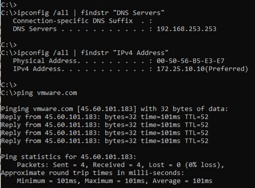 從 Oracle Cloud VMware Solution NSX-T Overlay Segment 啟用公用 URL 的 DNS 解析